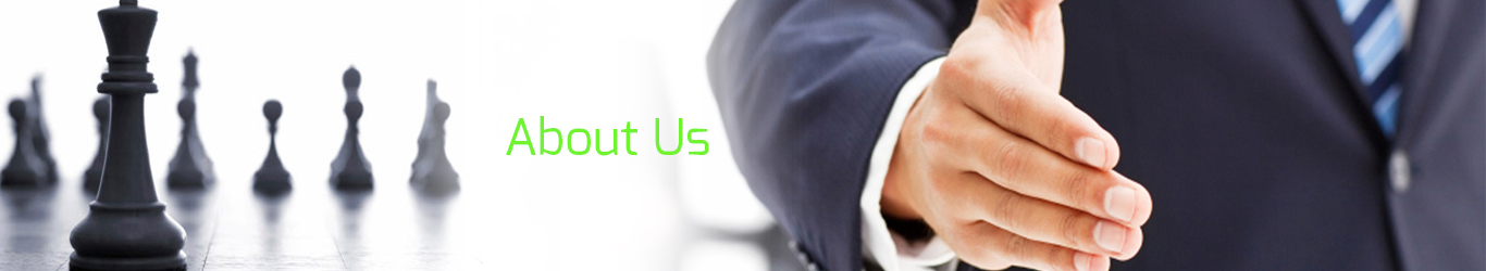 Anantha Cybertech, Business & Technology Consulting, Custom Software ...